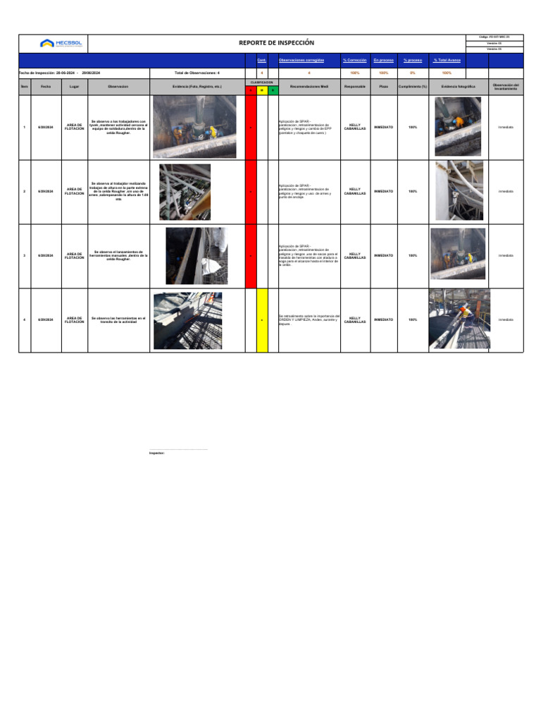 Rougher Reporte de Inspección Fo-Sst-Mec-025 | PDF
