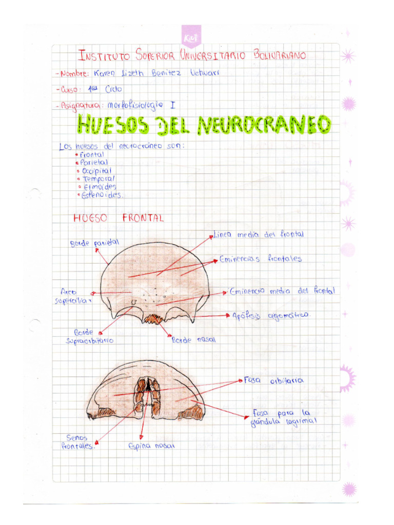 HUESOS DEL NEUROCRANEO - Karen Benitez | PDF