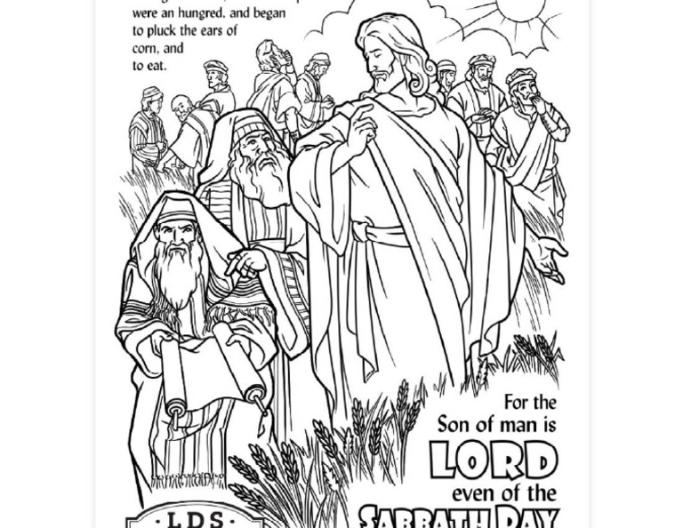 LDPD PBL Color Matt12 | PDF