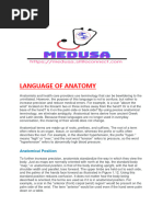 Lab Exercise 1 Language of Anatomy 1181 | PDF | Anatomical Terms Of ...