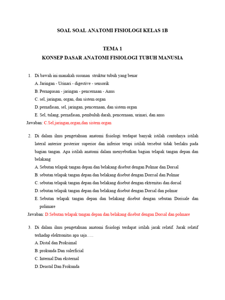 Soal Soal Anatomi Fisiologi Kelas 1b Pdf