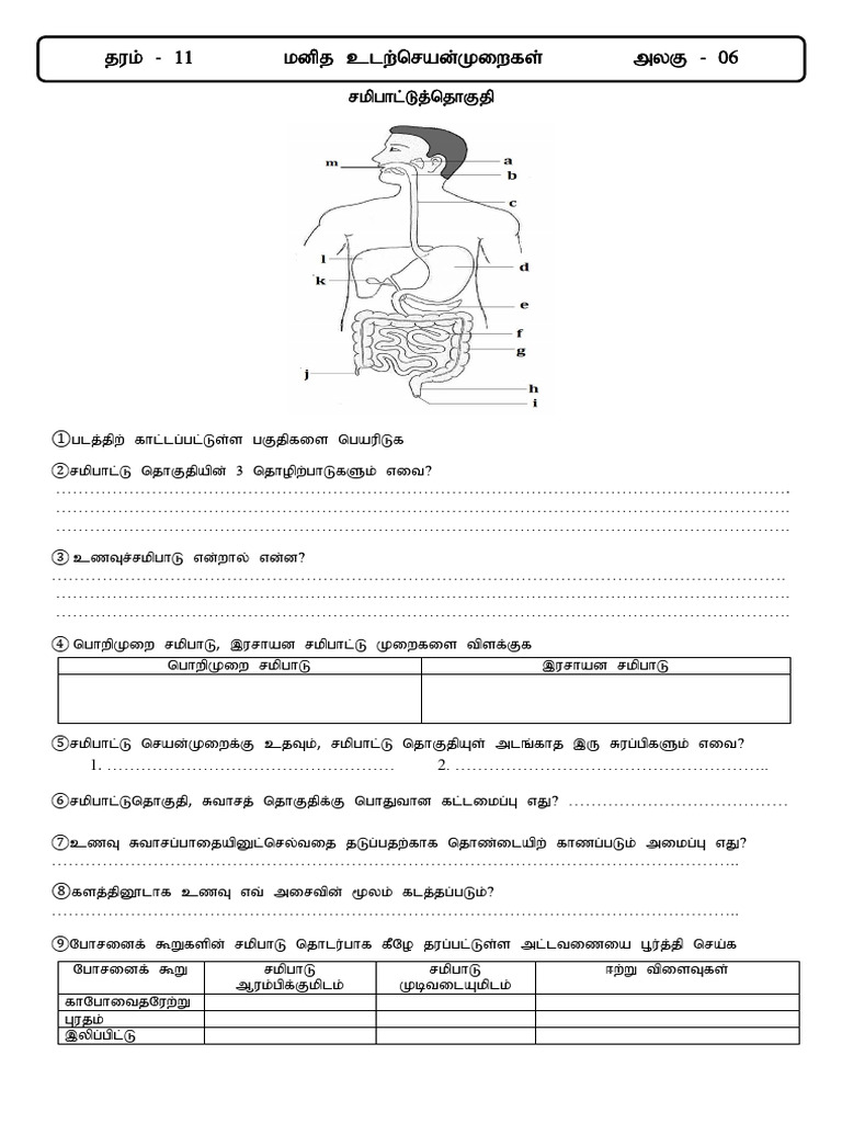 human body systems | PDF