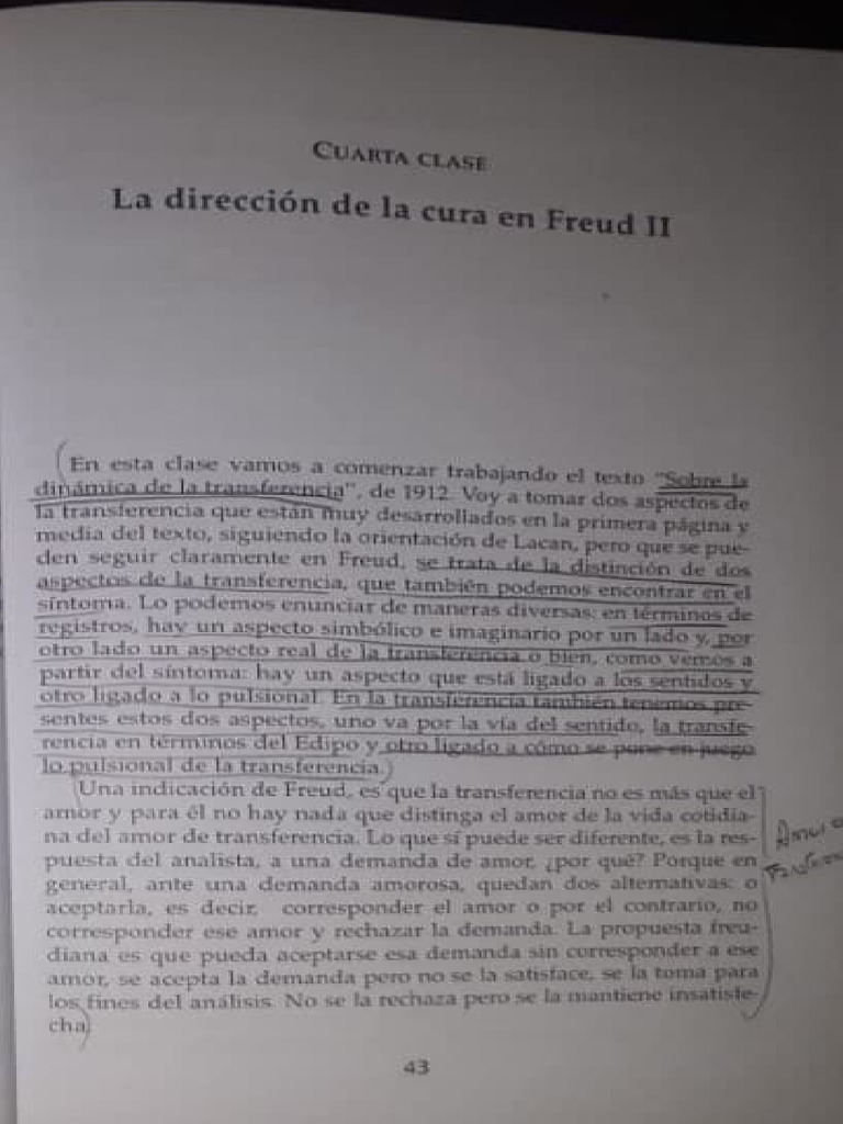 Naparstek La direccion de la cura en Freud II | PDF