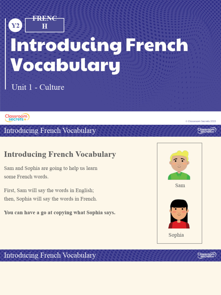 MFL Year 2 Introducing French Vocabulary TPP | PDF | Learning To Read ...