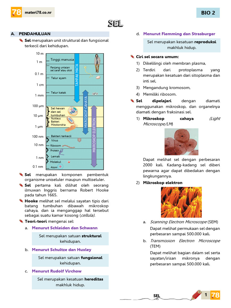 Materi Sel | PDF