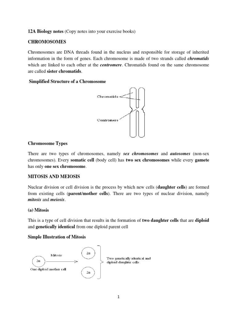 Biology Notes on Chromosomes and Cell Division | PDF | Meiosis | Mitosis