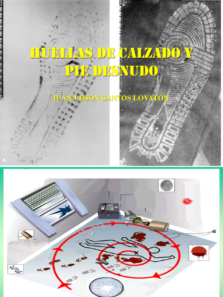 Huellas Calzado 2017 | PDF | Hogar, jardinería y bricolaje | Ciencia y ...