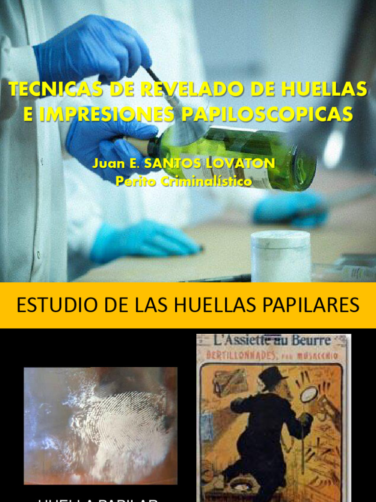 Técnicas de Revelado de Huellas | PDF | Huella dactilar | Piel