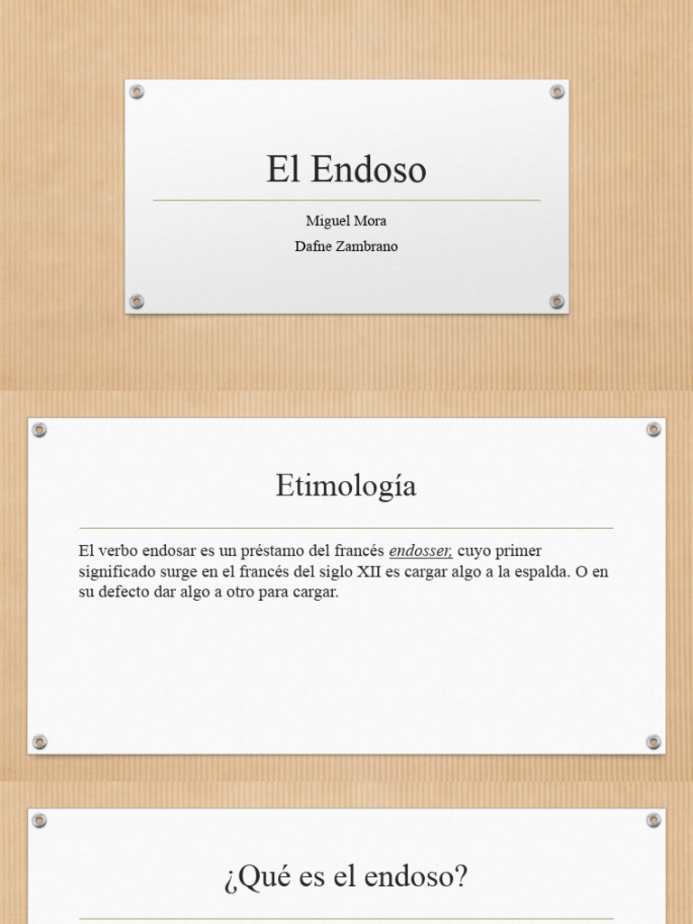 Endoso: Concepto, Clases y Funciones | PDF | Pagaré