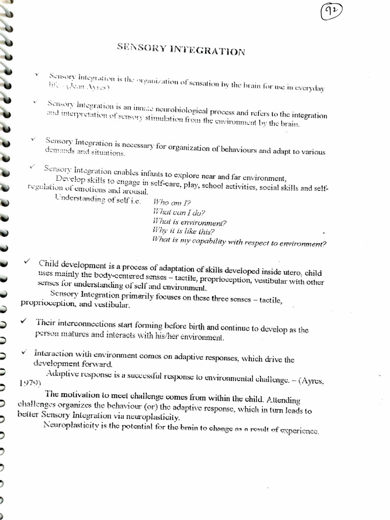 Sensory Integration | PDF