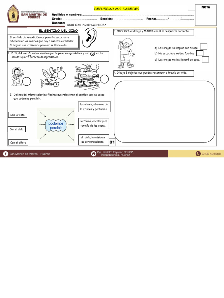 Sentido Del Oido | PDF | Artes del Lenguaje y Comunicación
