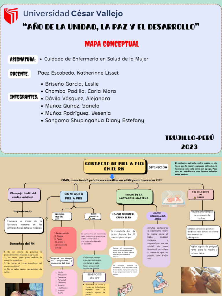Mapa Conceptual | PDF | Parto | Lactancia