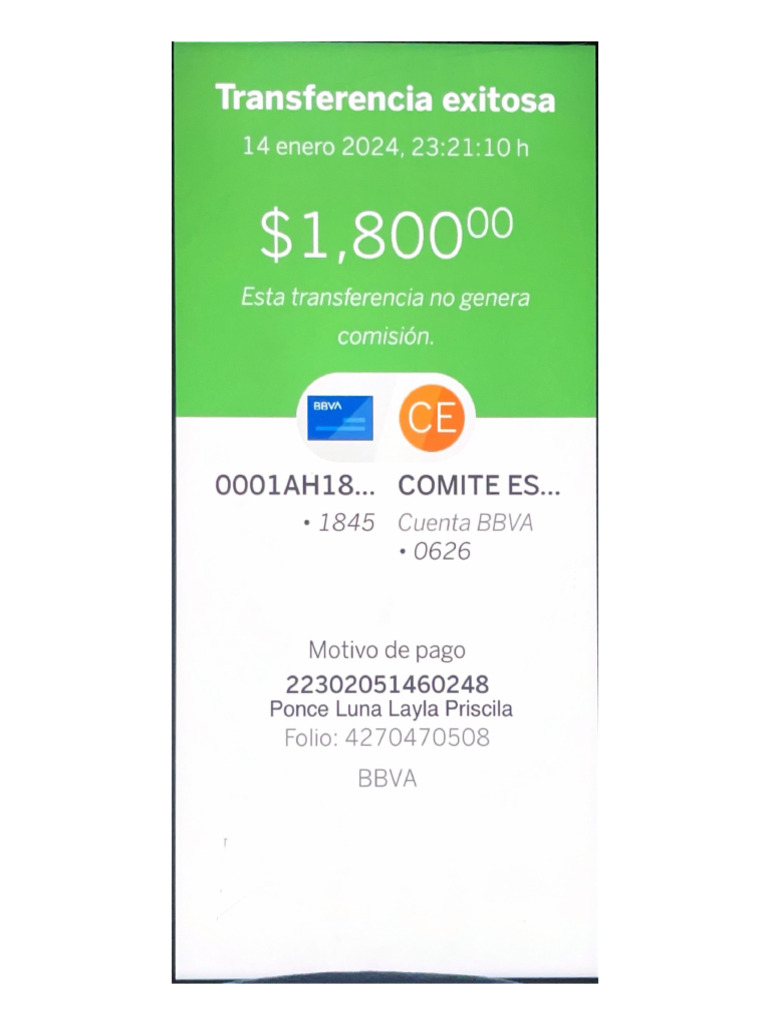 Transferencia Exitosa | PDF