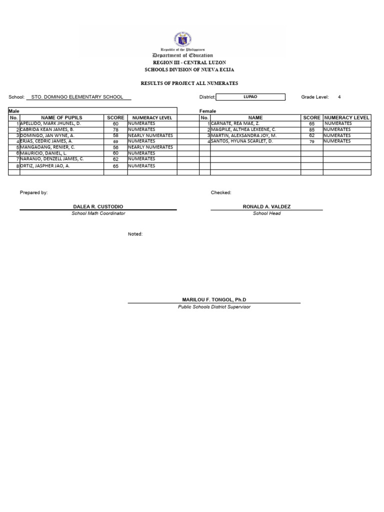 Sto. Domingo ES GRADE 4 LUPAO Post Test Result On Project All Numerates ...