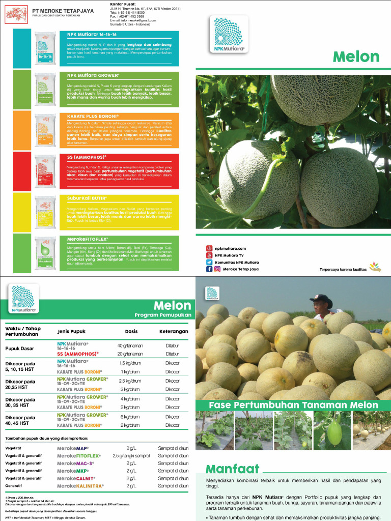 Melon Pupuk | PDF