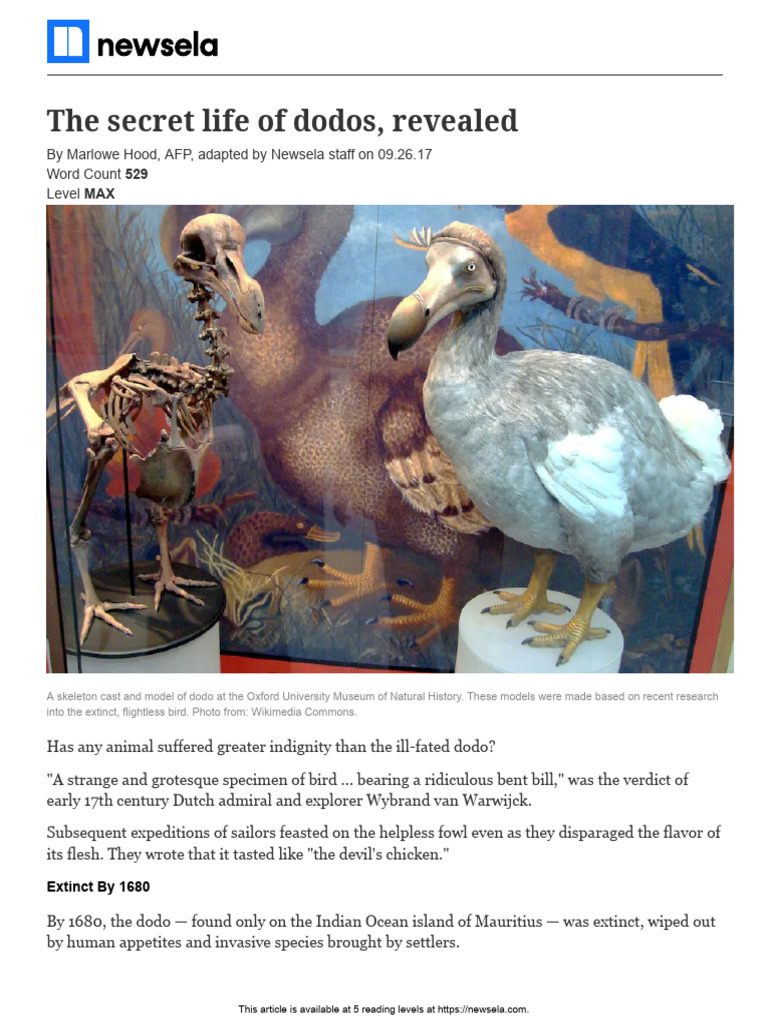 Unveiling Dodo Mysteries | PDF | Birds | Zoology