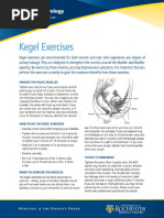 Kegel Exercise Guide For Men | PDF