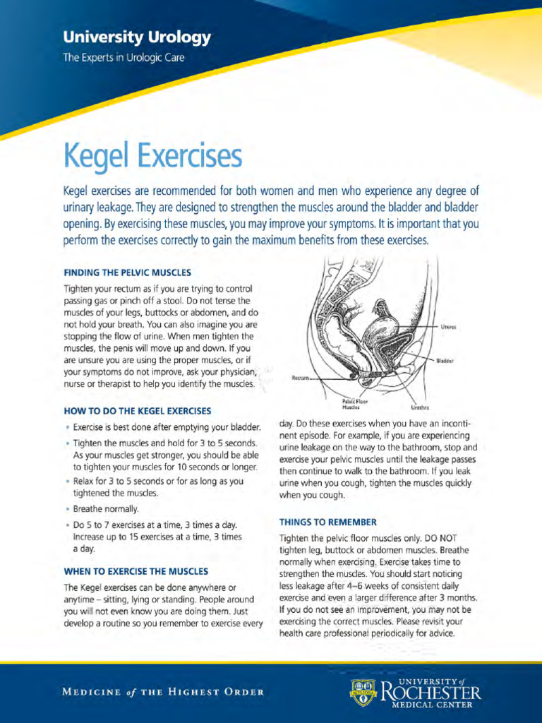 Kegel Exercises | PDF | Urinary Incontinence | Medical Specialties