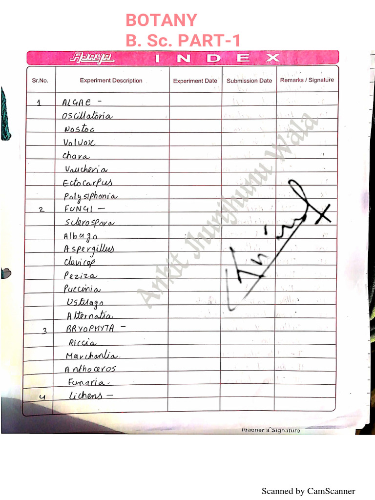Record 1st Year Botany English | PDF