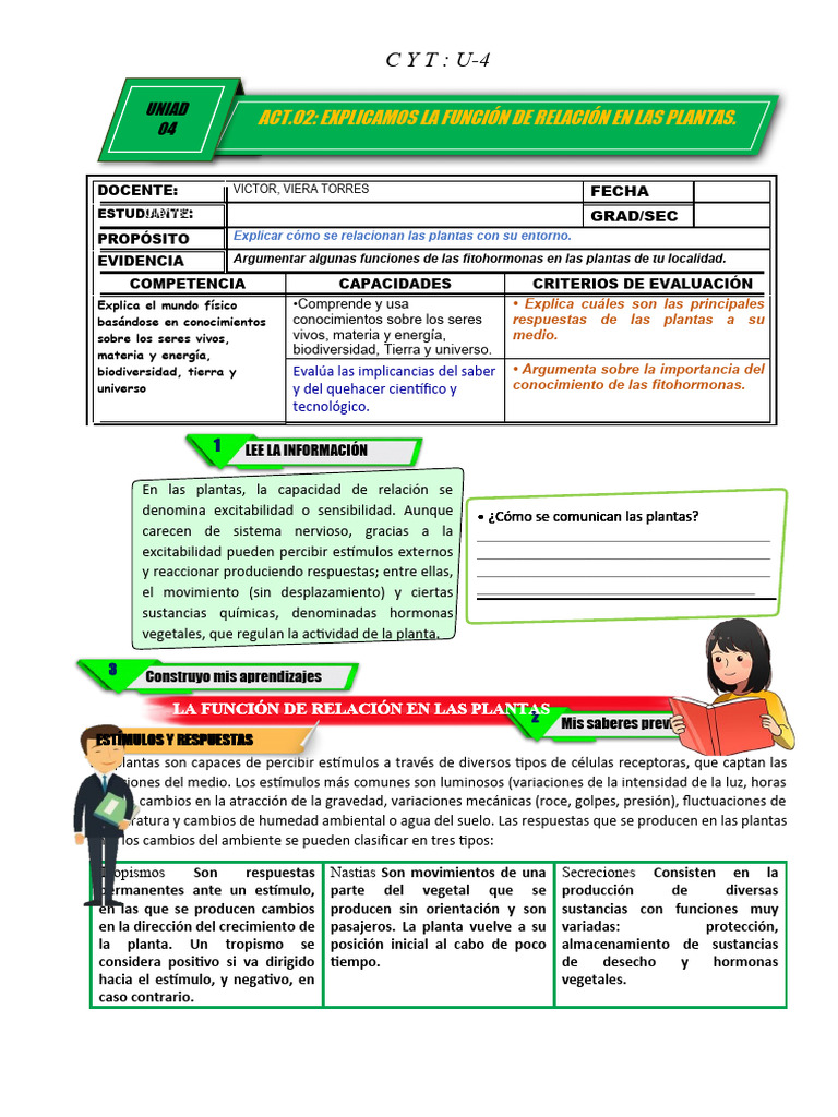 4º Act 2-Cyt-Und 4 | PDF | Hormona Vegetal | Biología