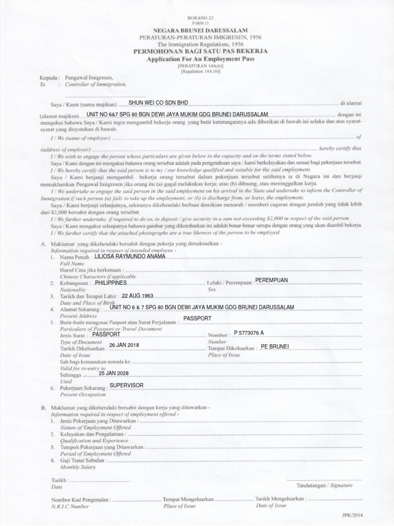 Permohonan Bagi Satu Pas Bekerja mdm lili | PDF