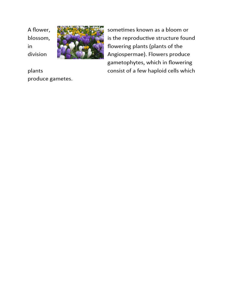 Flower Reproductive Structure Guide | PDF