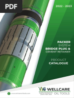 SLB Packer Catalog PDF | PDF | Casing (Borehole) | Drilling Rig
