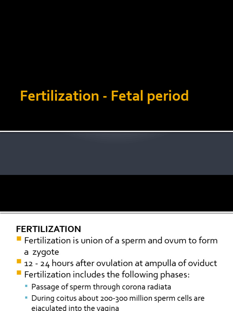 Fertilization-Fetal Period | PDF | Twin | Morphology (Biology)