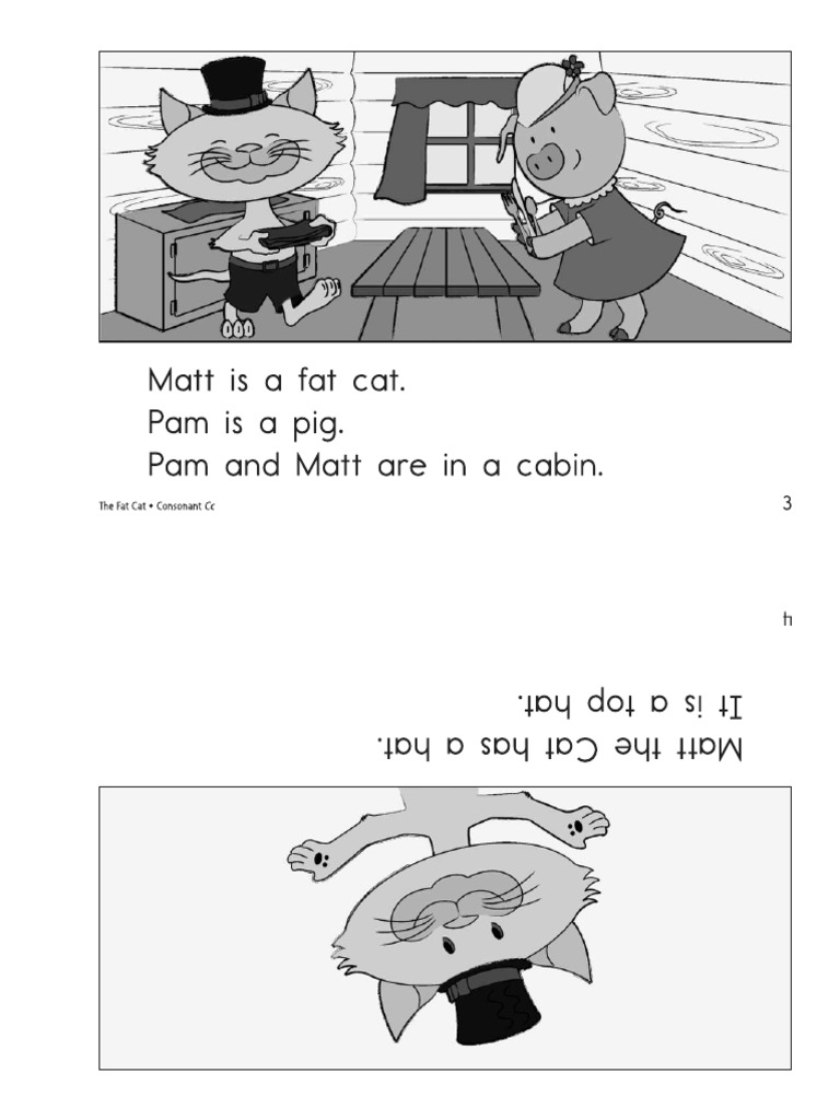 The Fat Cat PG 3 | PDF