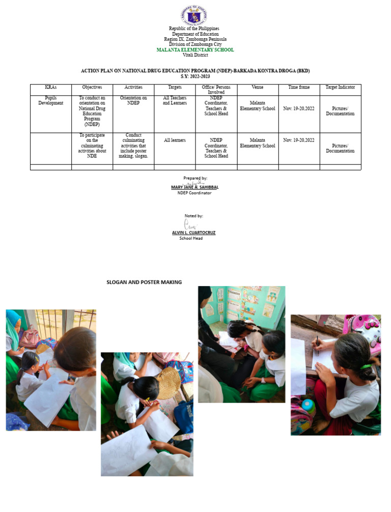 Ndep-Bkd Action Plan | PDF