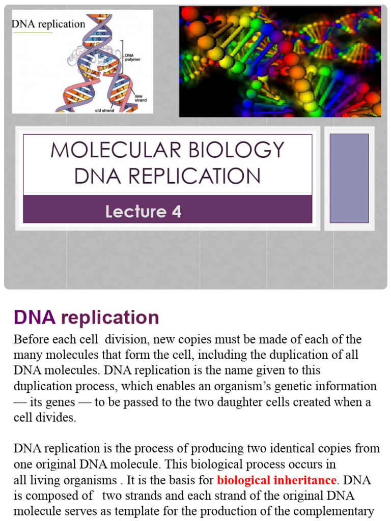 Dna Replicate | PDF | Dna Replication | Primer (Molecular Biology)