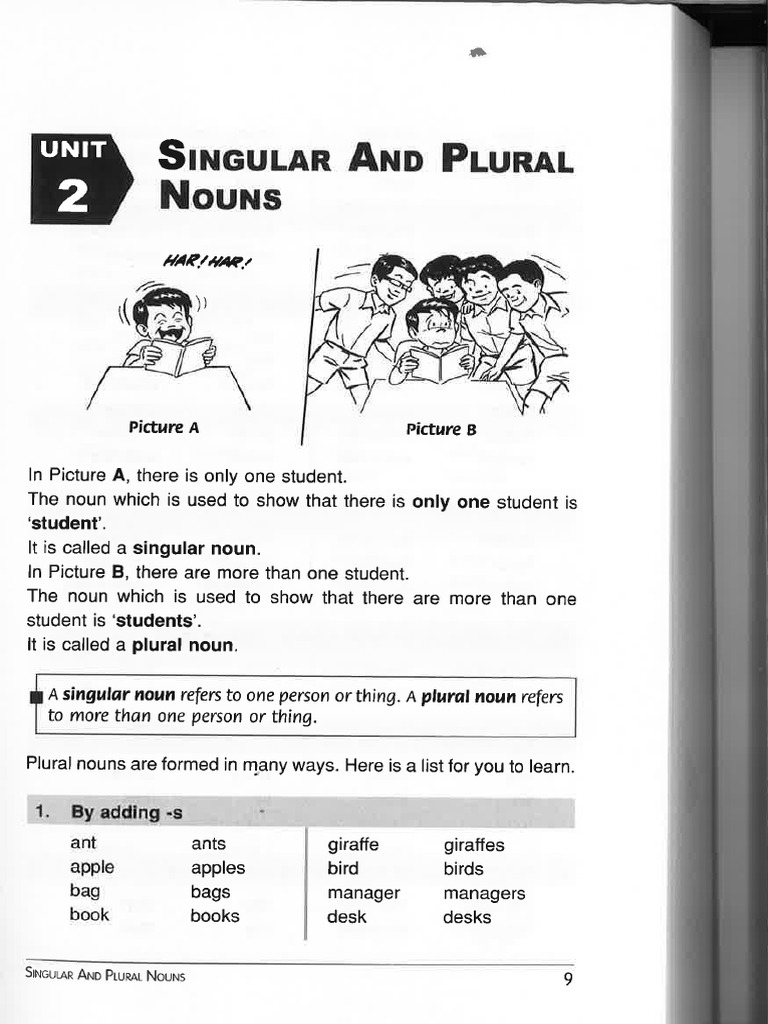 Unit 2 Singular and Plural Nouns | PDF