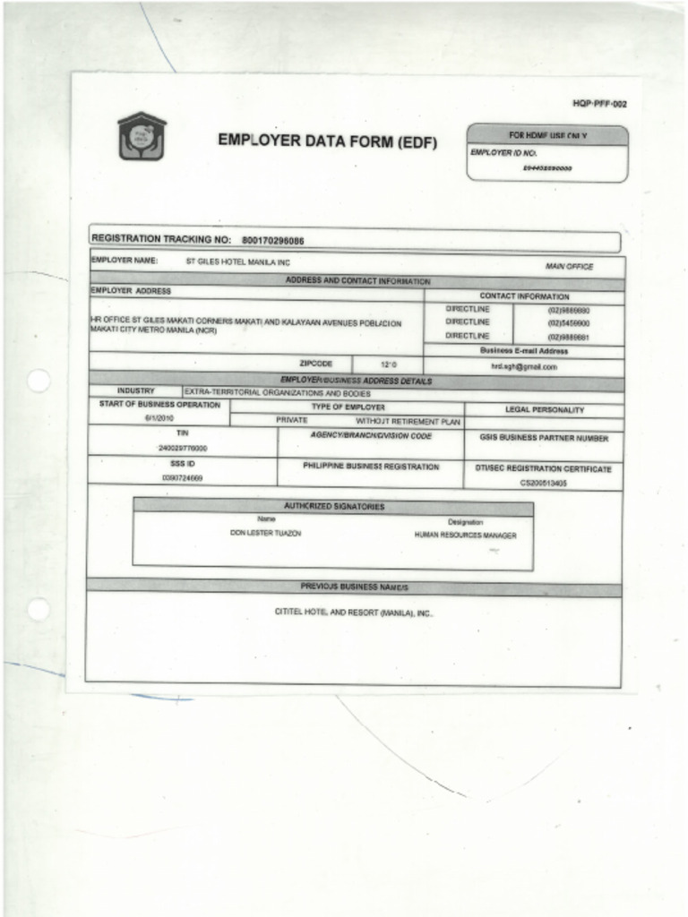 SGHM PagIBIG EDF | PDF