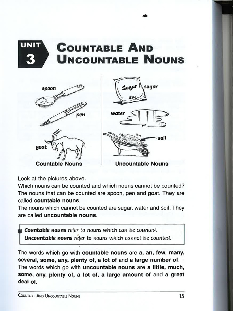 Unit 3 Countable and Uncountable Nouns | PDF