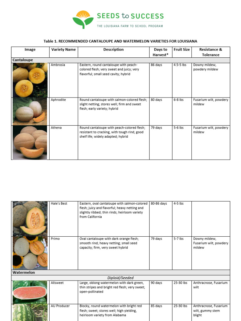 Louisiana Melon Variety Guide | PDF | Watermelon | Heirloom Plant