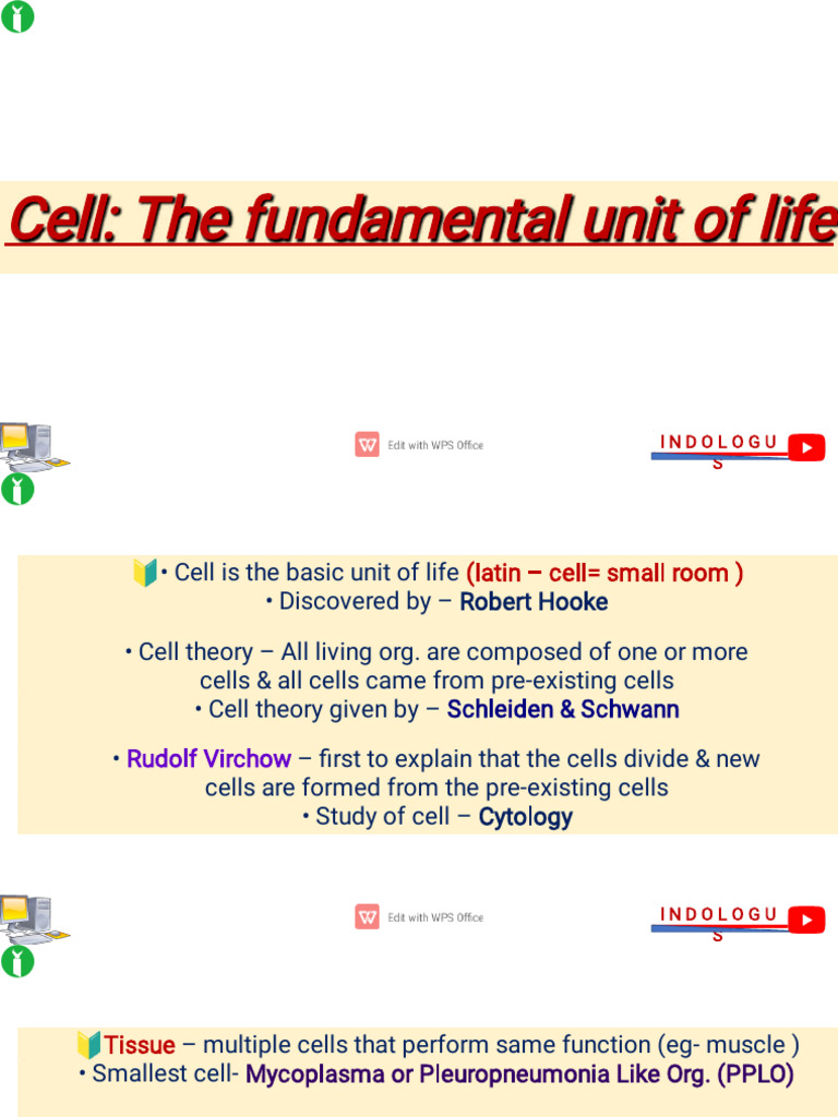 Cell | PDF | Cell (Biology) | Lysosome