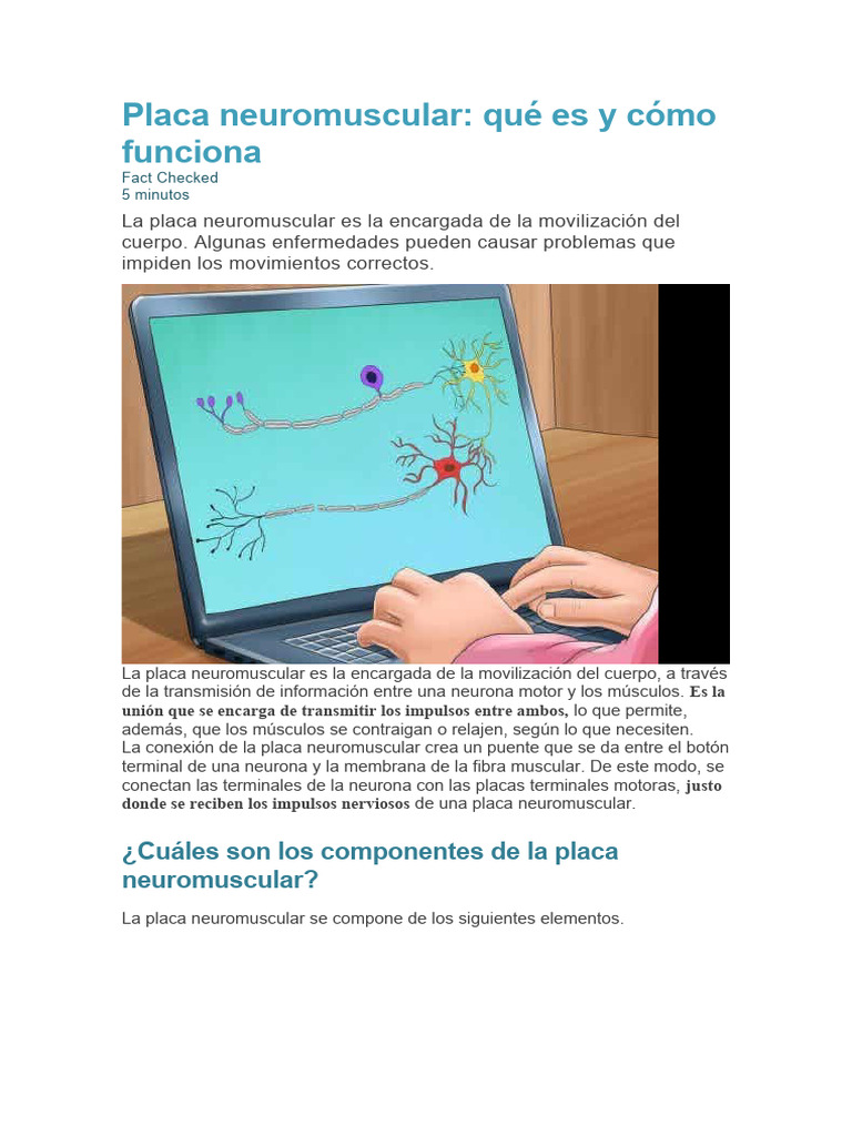 Placa neuromuscular | Descargar gratis PDF | Unión neuromuscular ...