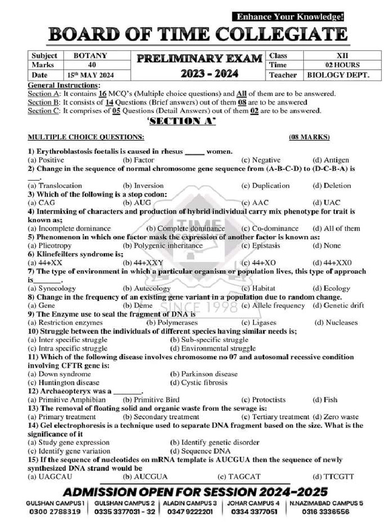 XII Times Collegiate 1 | PDF