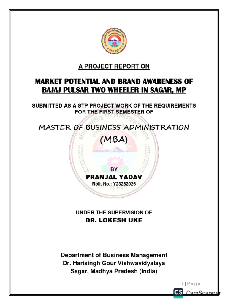 STP Project - Final | PDF | Business