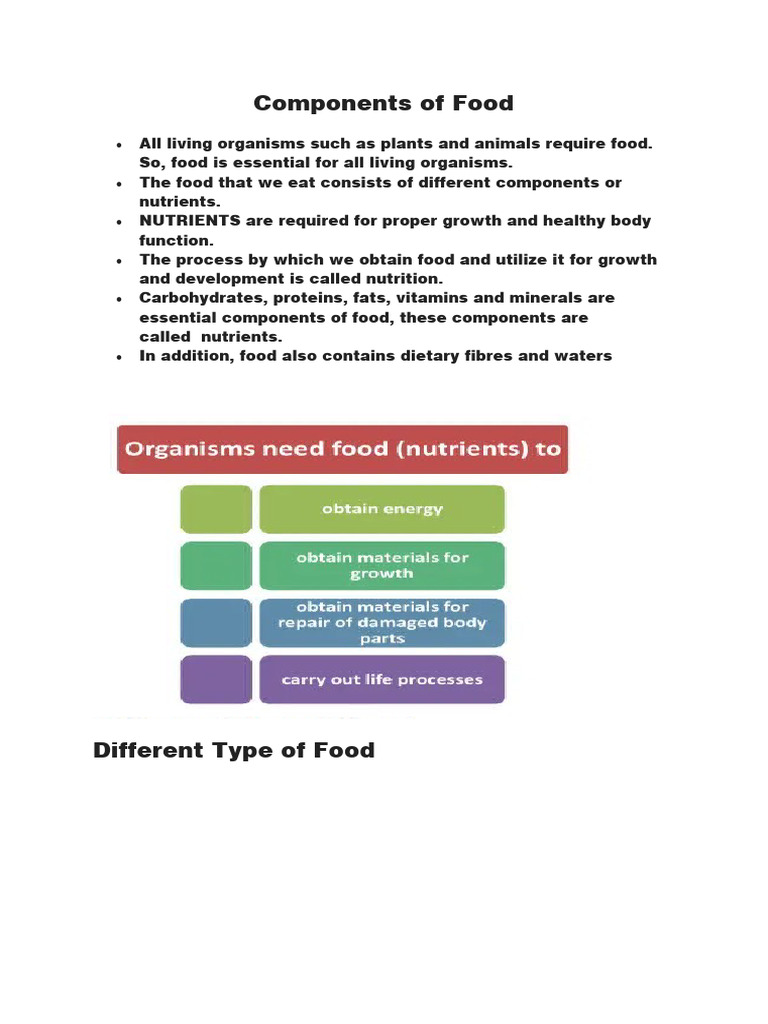 Components of Food | PDF | Foods | Food Energy