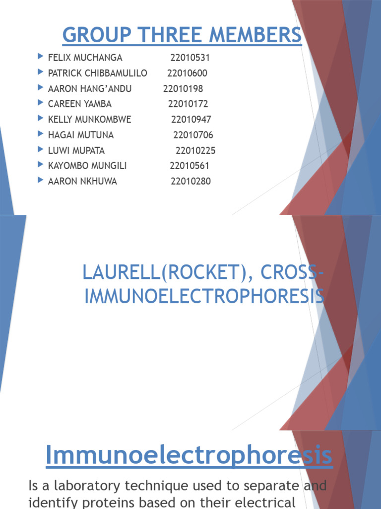 Final Group3 Bat 201 Presentation | PDF | Gel Electrophoresis | Molecular Biology