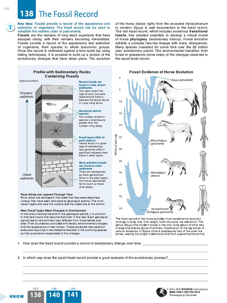 138 The Fossil Record | PDF | Fossil | Evolution