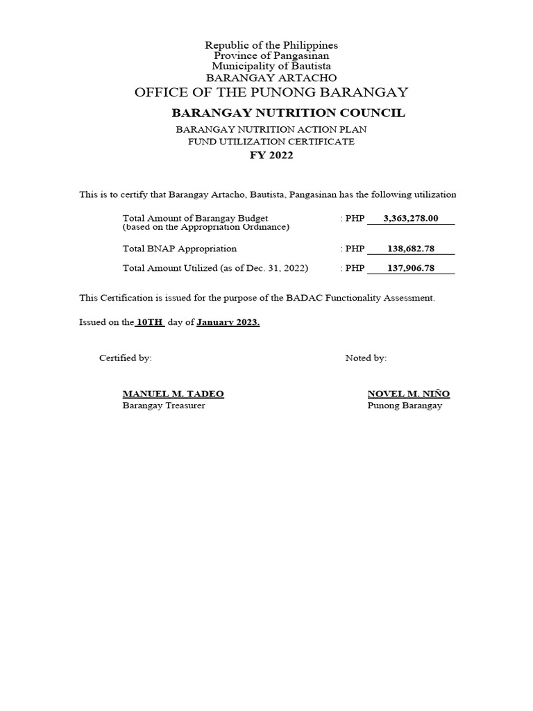 Barangay Nutrition Action Plan | PDF | Health Sciences | Medicine