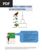 EVS Energy Flow in Ecosystem | PDF | Food Web | Environmental Technology