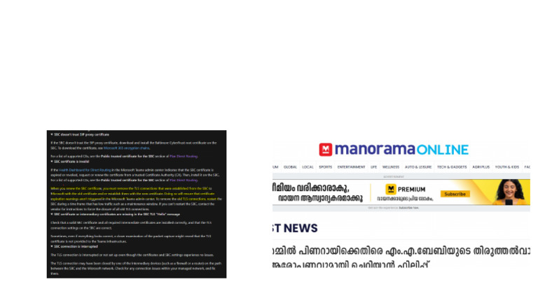 Presentation 3 | PDF