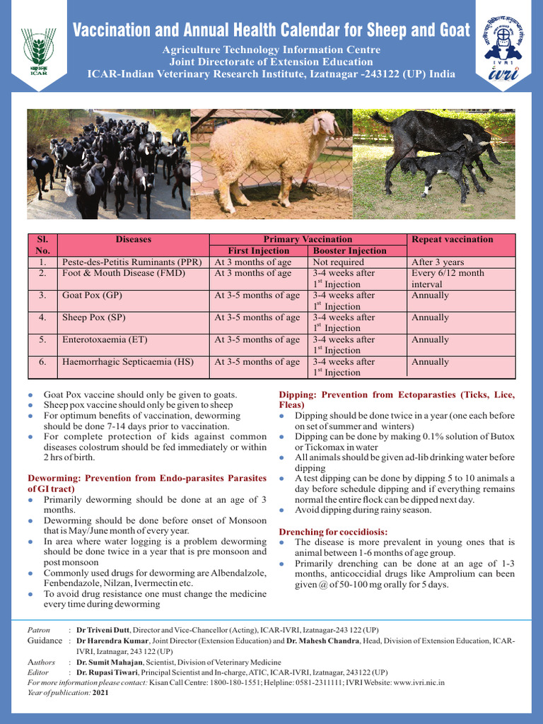 Sheep -8-2021 | PDF | Sheep | Health Sciences