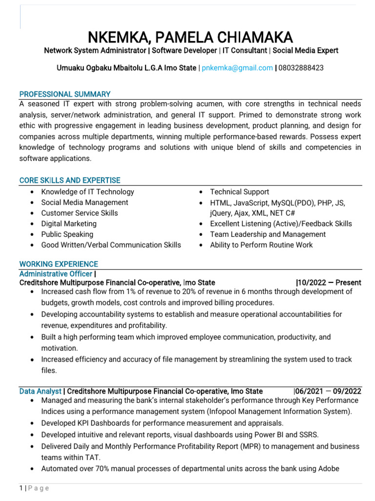 Nkemka, Pamela Chiamaka CV | PDF | Social Media | Popular Culture & Media Studies