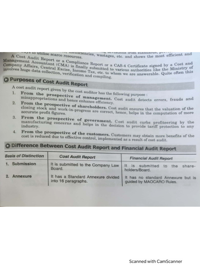 Cost Audit Report | PDF