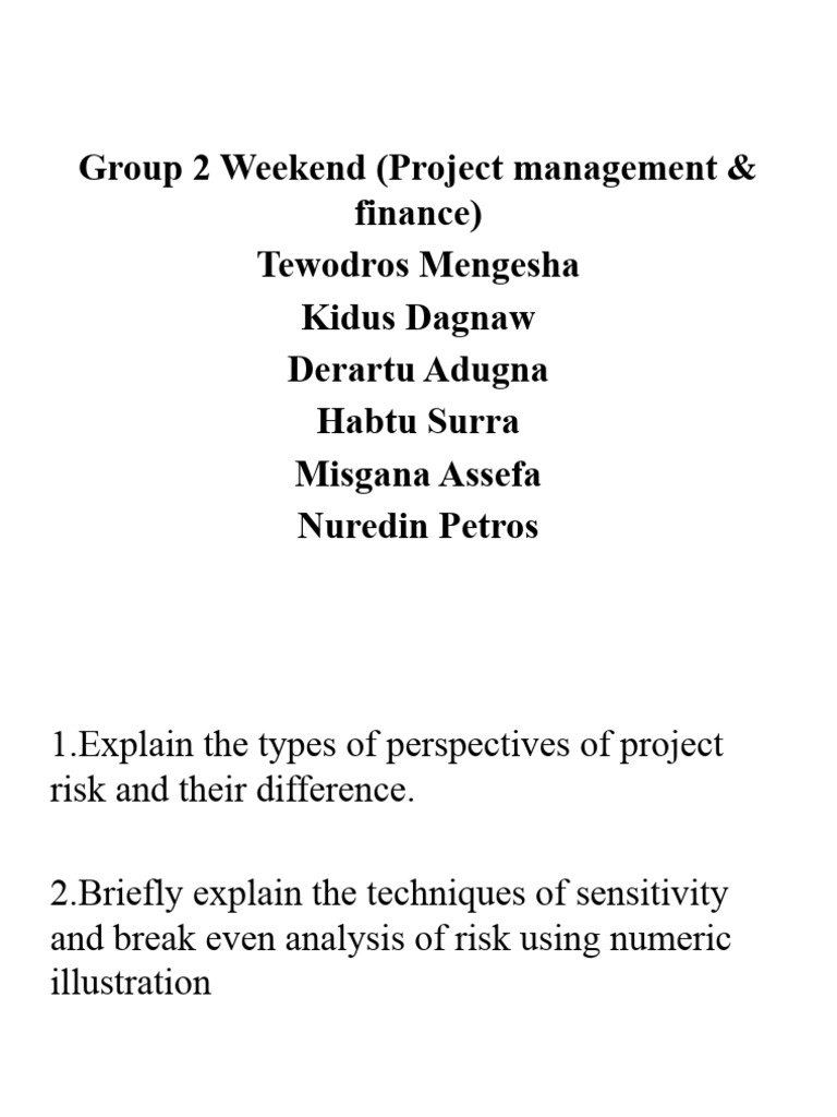 Project Assignment Pdf Sensitivity Analysis Risk