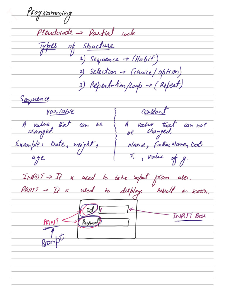 O Level Pseudocode | PDF